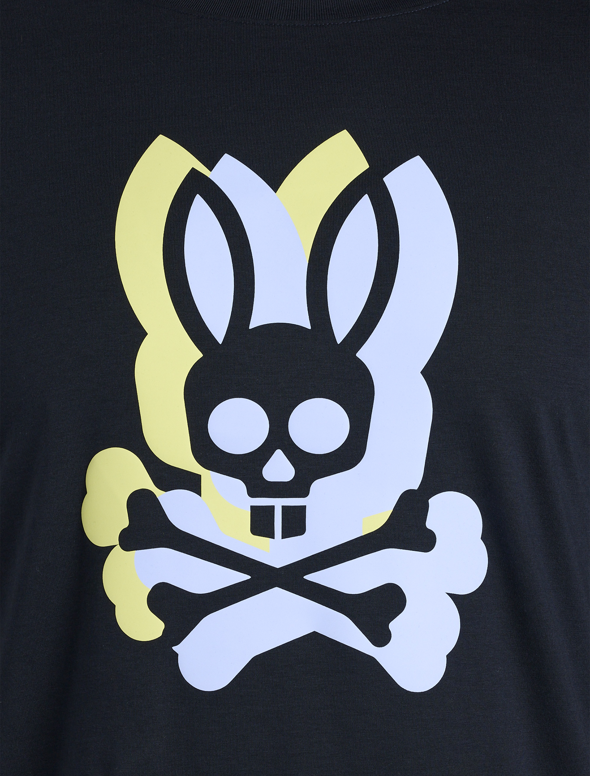 Big + Tall | Psycho Bunny Groves Graphic Tee | DXL