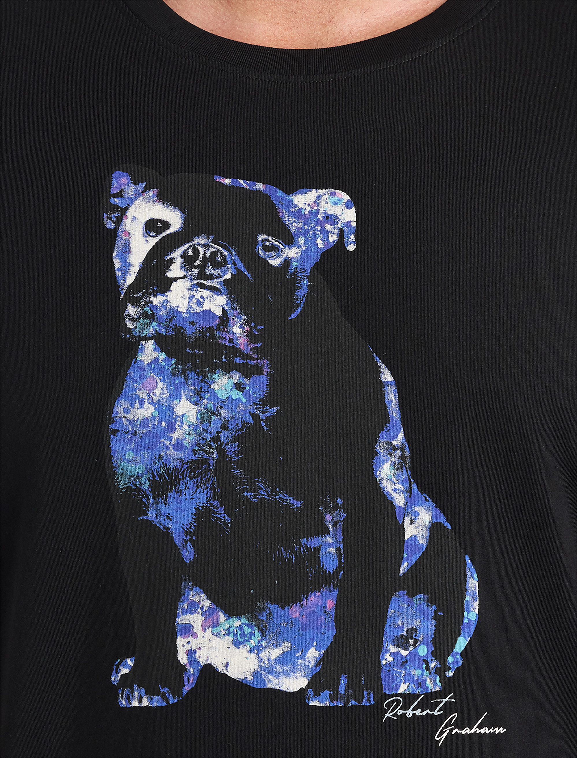 Big + Tall | Robert Graham DXL X-Ray Graham Graphic Tee | DXL