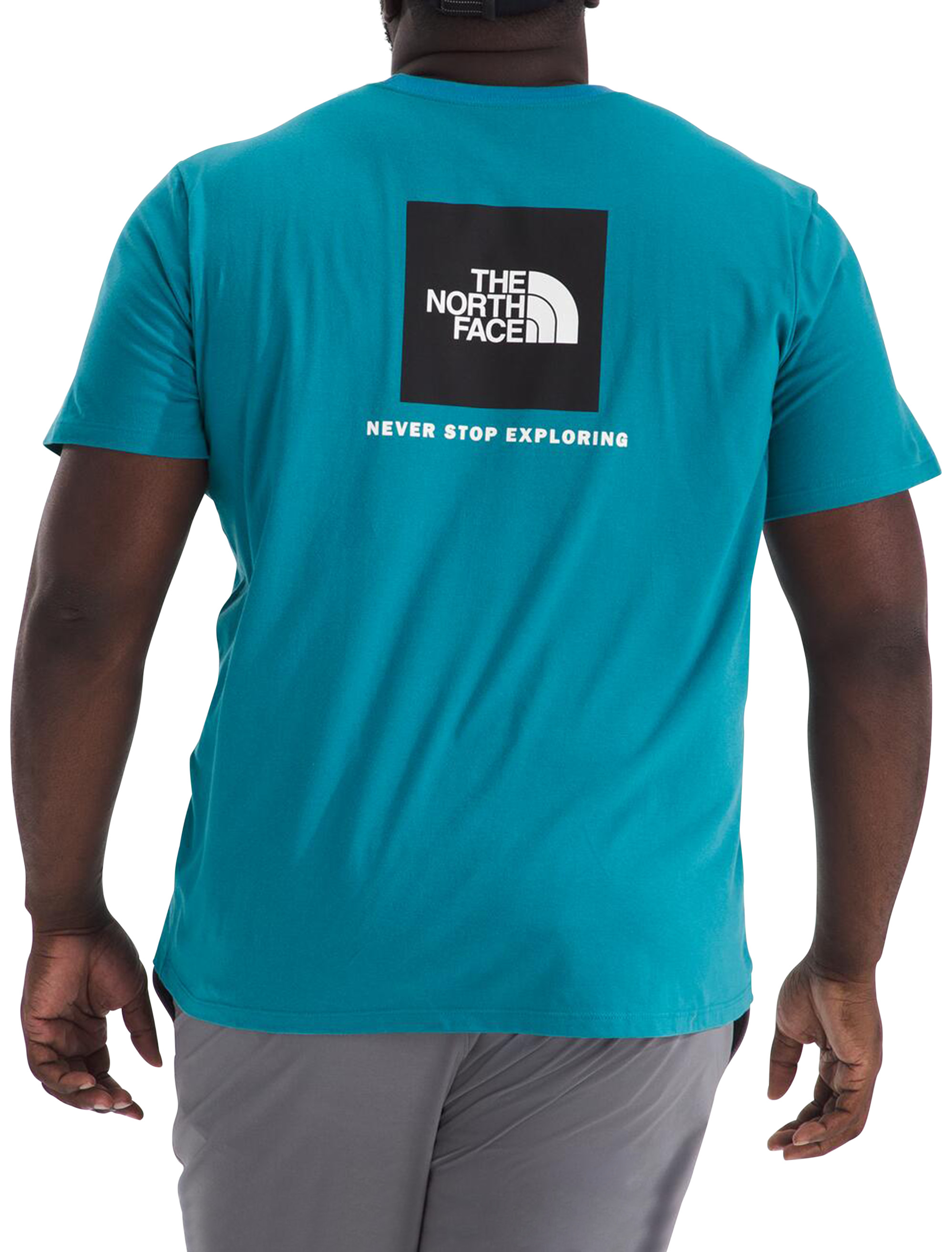 Big + Tall | The North Face Big Box Graphic Tee | DXL