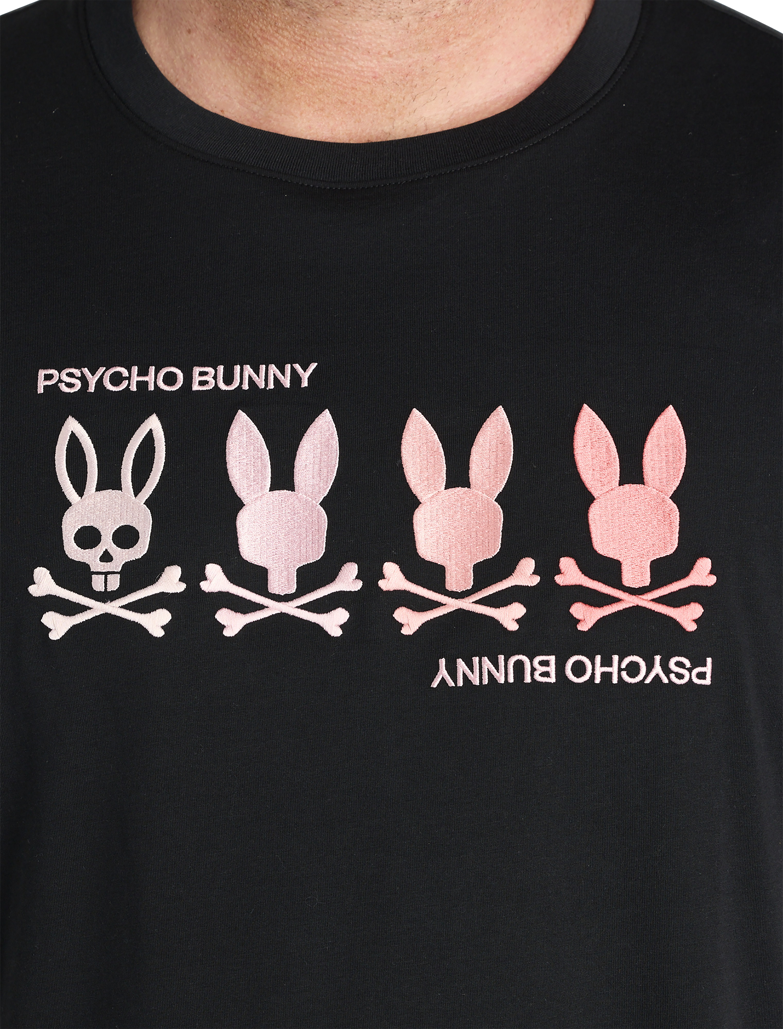 Big + Tall | Psycho Bunny Oceania Graphic Tee | DXL