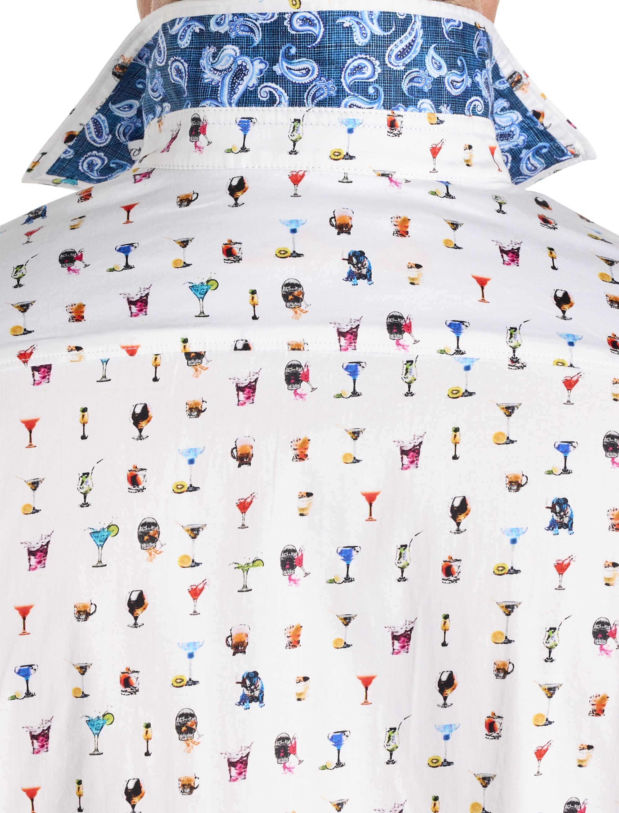 Big + Tall | Robert Graham Booze Cruz Sport Shirt | DXL